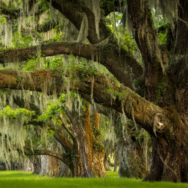Landscape Photography | Stephen Oachs