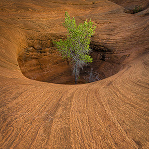 Landscape Photography | Stephen Oachs